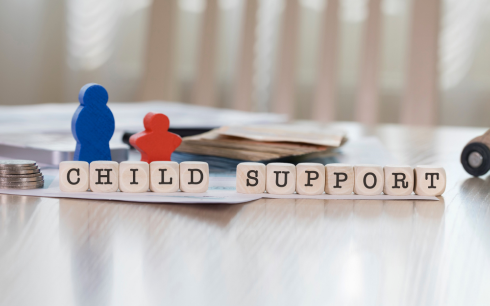 Child Support 101: A Beginner's Guide with The Fox Firm
